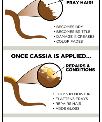 Cassia Obovata (Neutral Henna) – Henna Color Lab® – Henna Hair Dye
