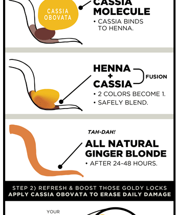 Gingery-Blush Blonde Hair Bundle – Henna Color Lab® – Henna Hair Dye